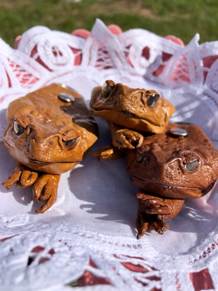 Real Cane Toad high Quality Keychain Keyring Lanyard Charm - Etsy