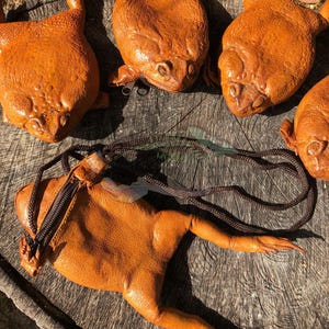 Real Cane Toad Purse Full Body Regular Size Leather Frog Bag: Fits ...