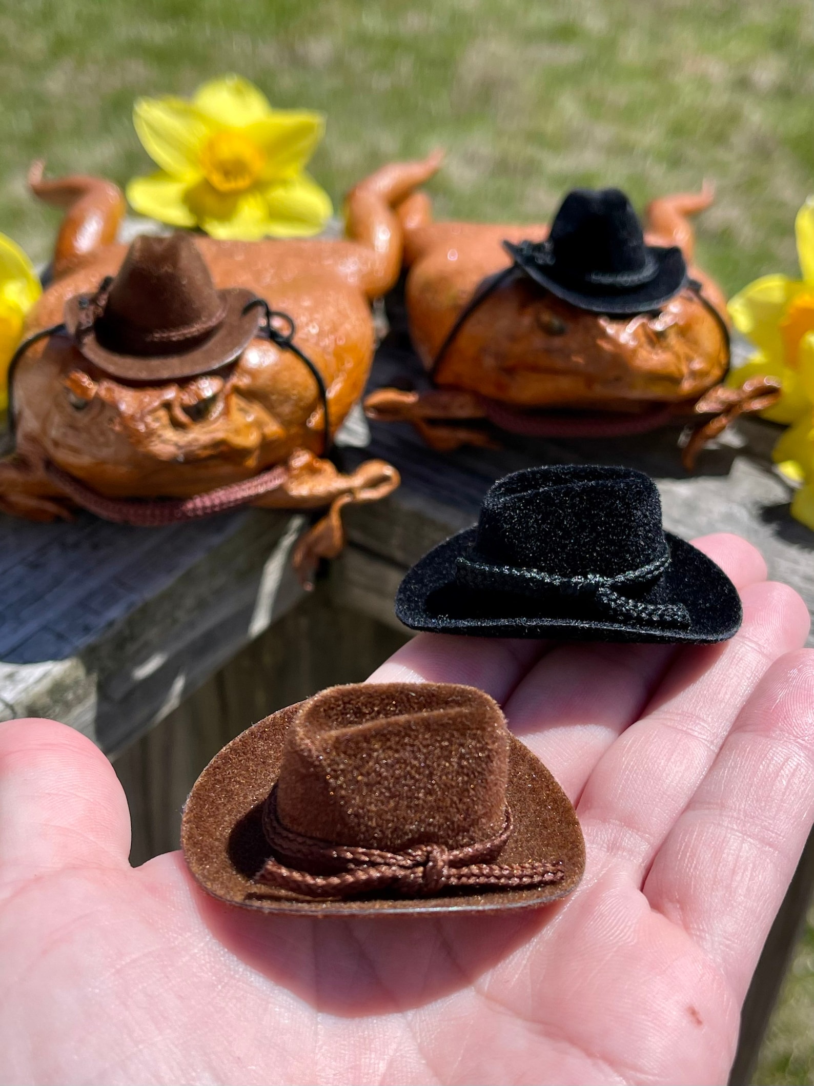 Rootin Tootin' Real Cane Toad Purse With Mini Cowboy Hat Full-body ...