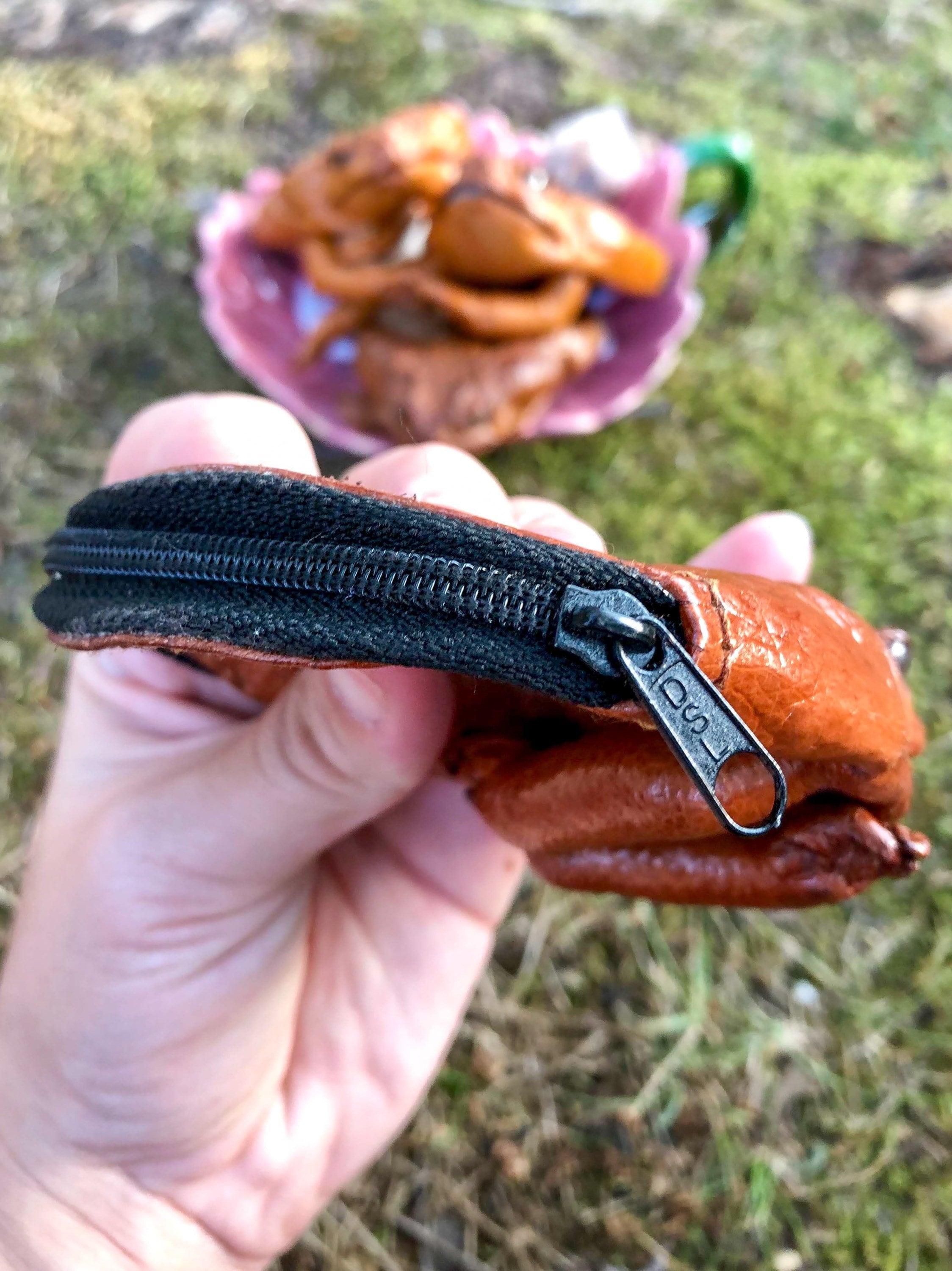 Real Cane Toad Half-body Coin Pouch Purse high Quality - Etsy