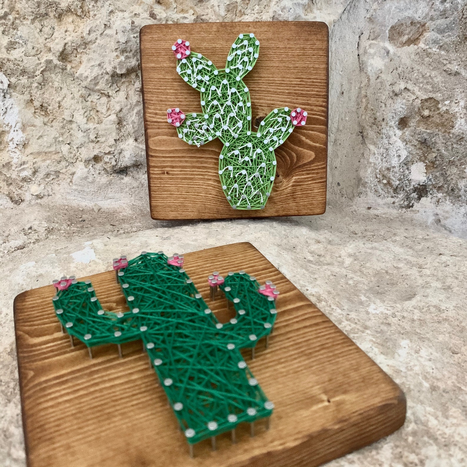 Cactus String Art Desert Bloom Prickly Pear Desert Theme | Etsy