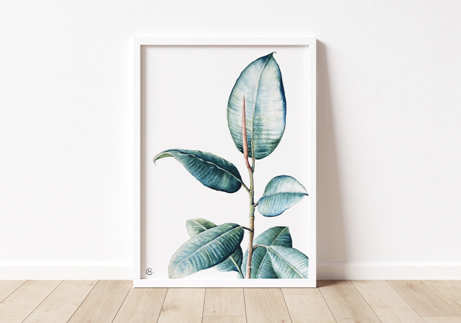 Botanical Digital Print - Watercolor Drawing of Ficus - Wall Art - Wall ...