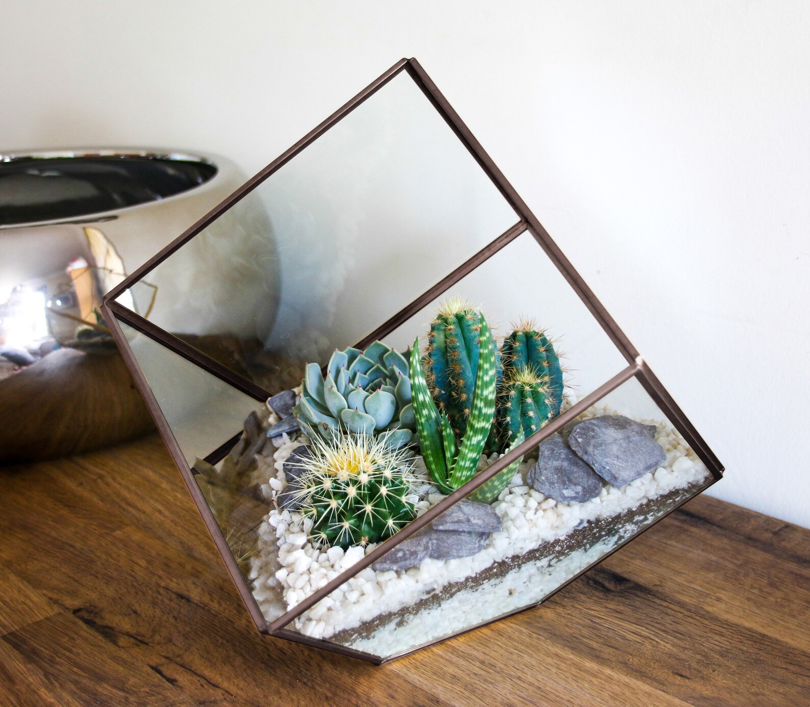 Bronze Cube Geo Terrarium Kit | Cactus & Succulent | Geometric Desk ...