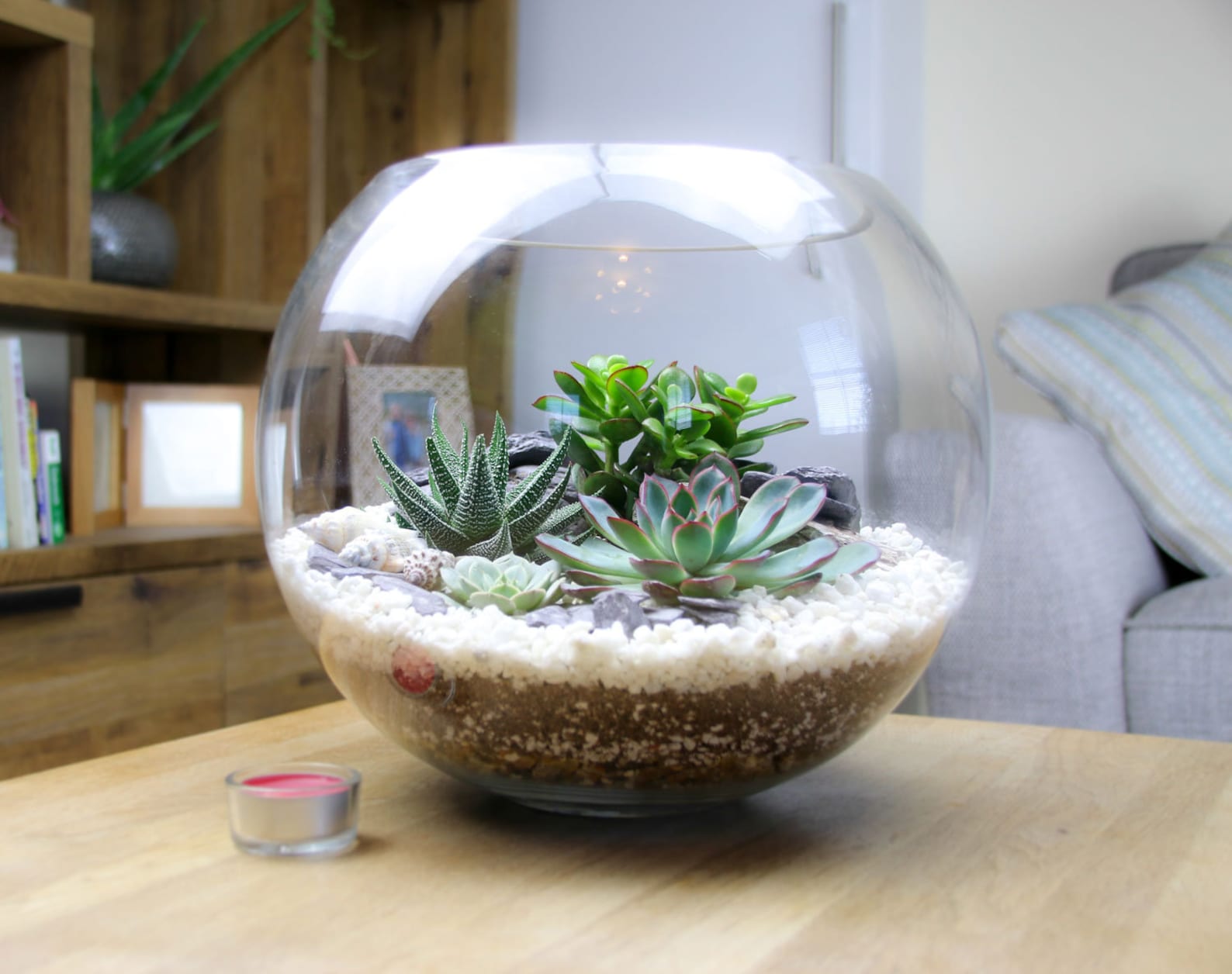 Extra Large Glass Globe Terrarium Kit Huge 30cm Diameter | Etsy