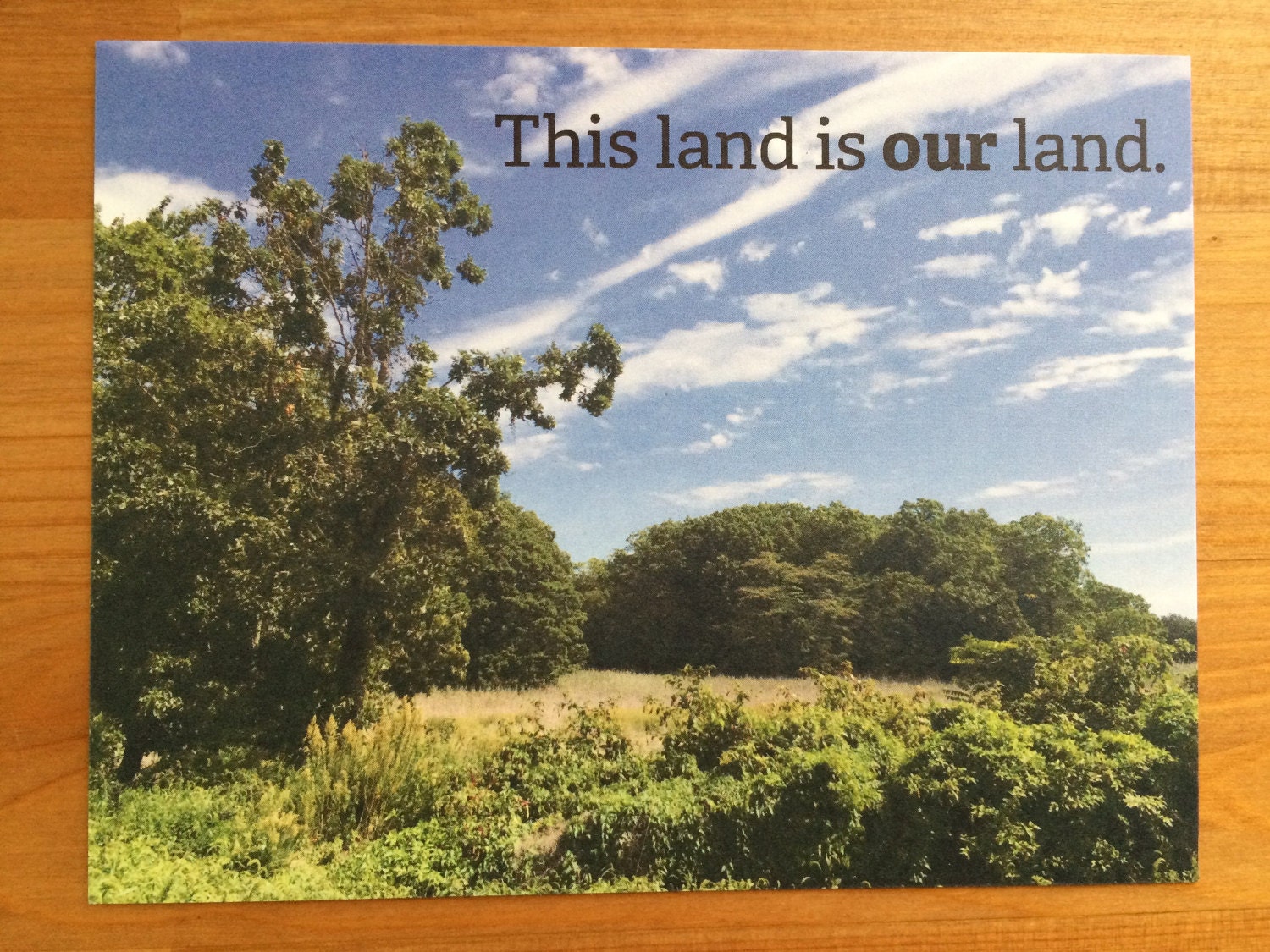 This Land is Our Land Postcards - Etsy