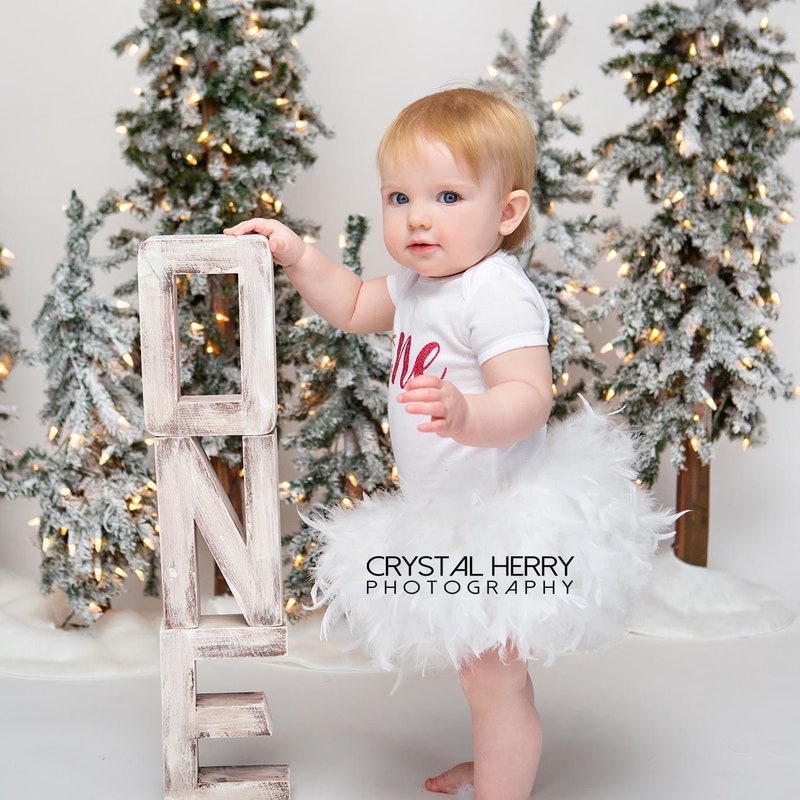 First Birthday Props - Etsy