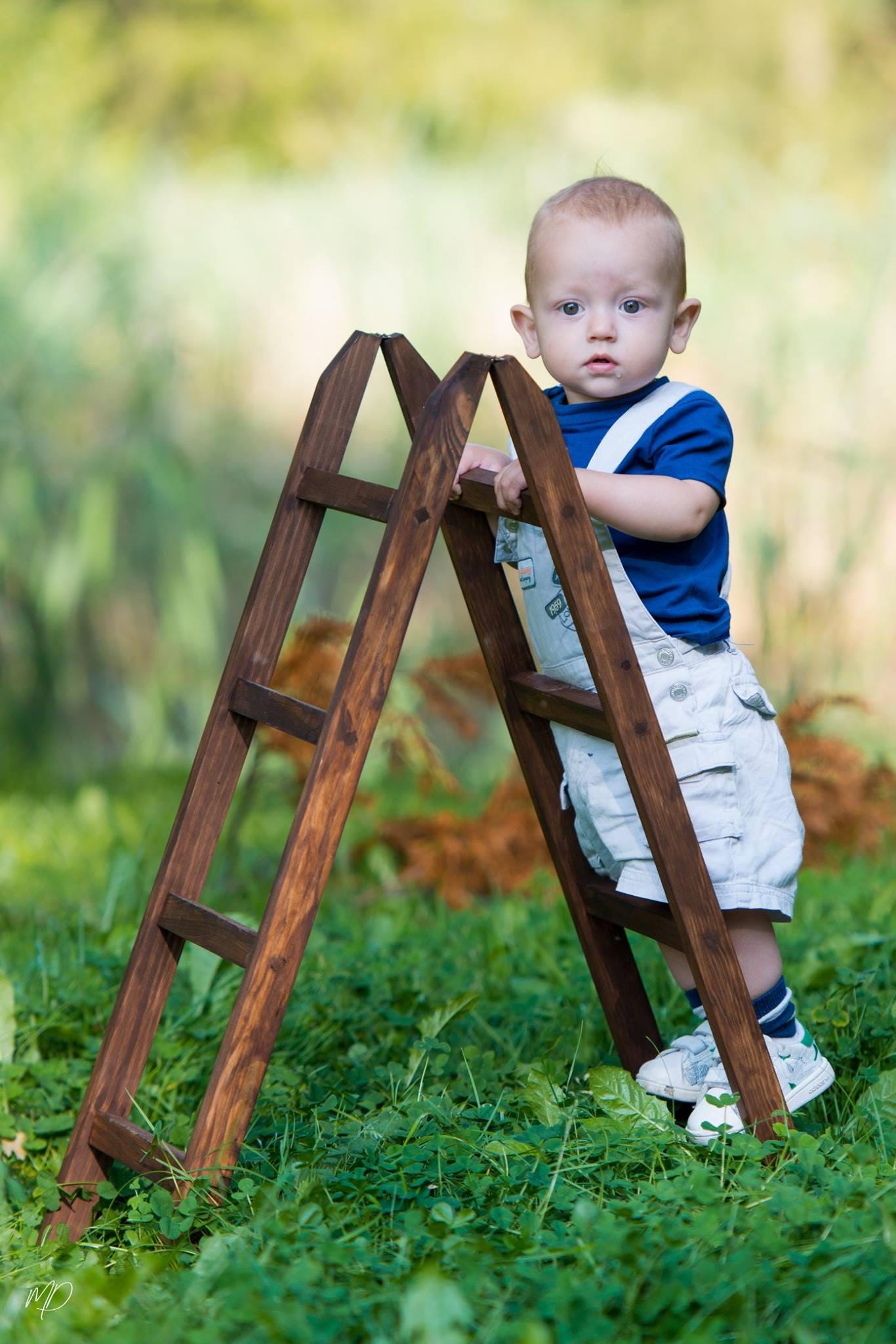 Ladder Photography Props Toddler Baby Photographer Wood - Etsy Sweden