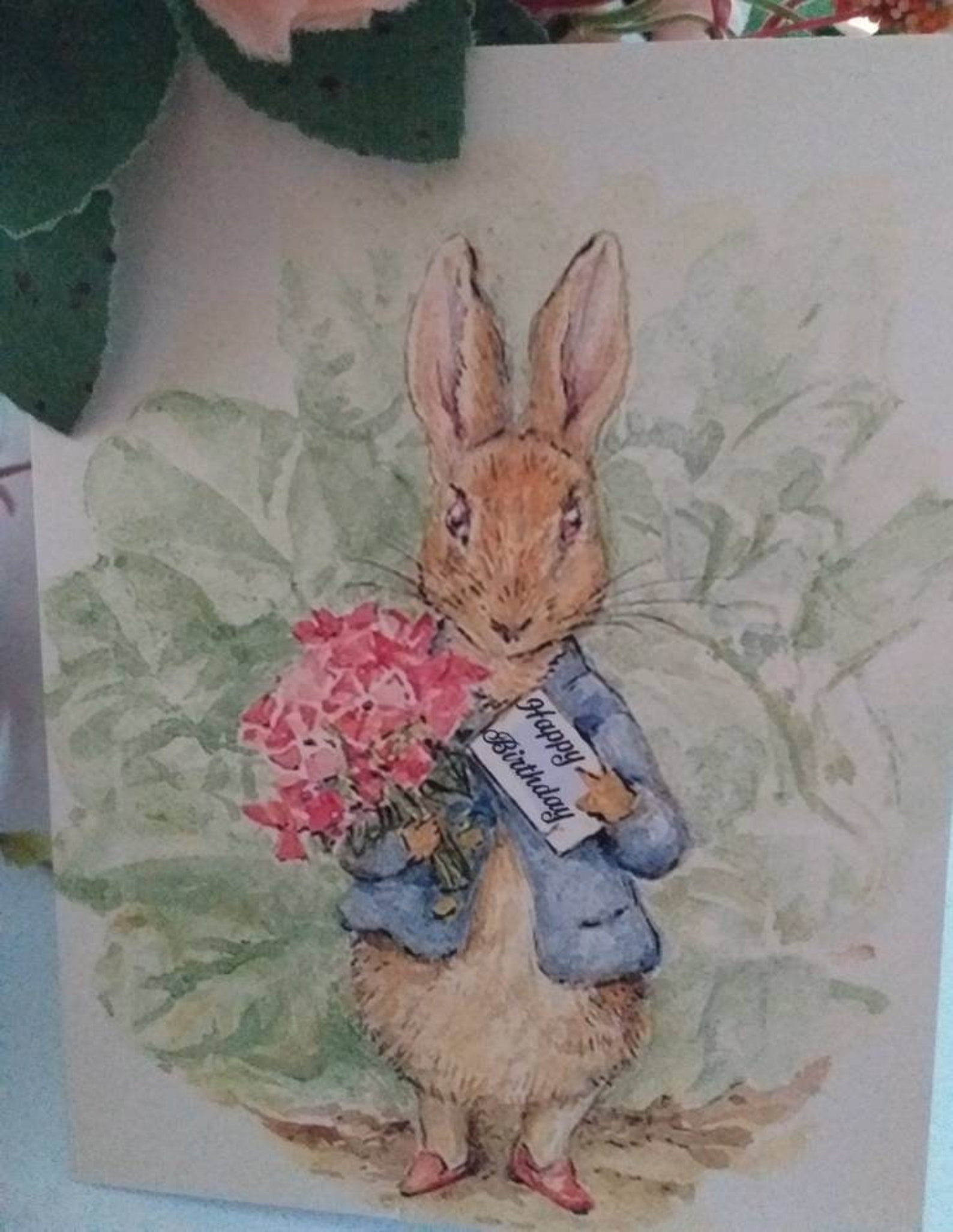 Peter Rabbit Happy Birthday Greetings Cards and Blank Cards - Etsy