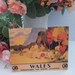 Wales / Welsh Happy Birthday Greetings Cards & Notelets Blank Cards ...