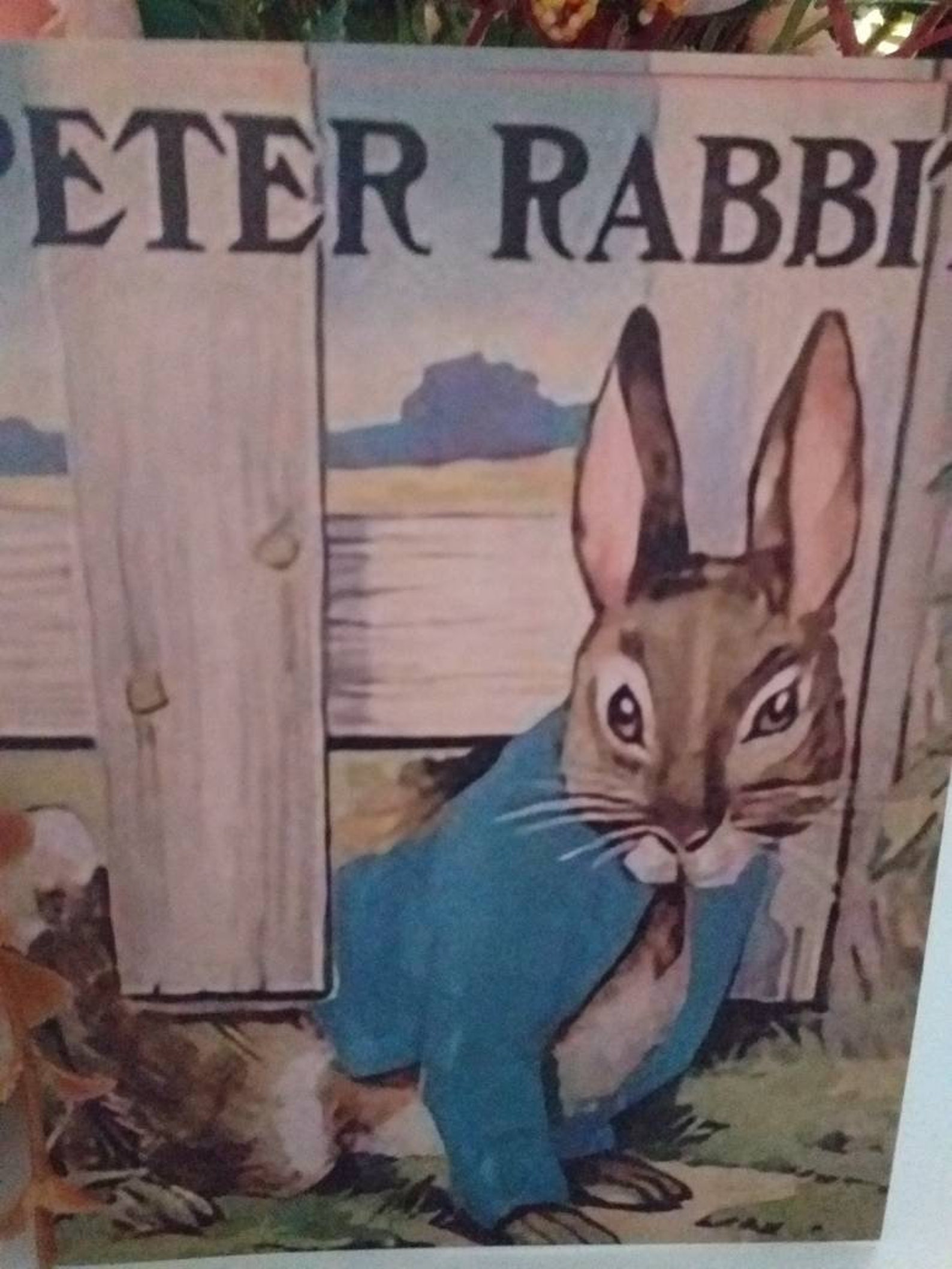 Peter Rabbit Happy Birthday Greetings Cards and Blank Cards - Etsy