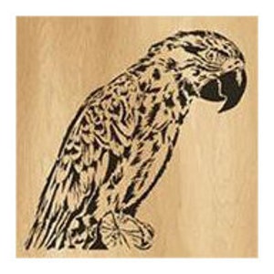 014-parrot Scroll Saw Pattern pdf, Jpg, Dxf, Svg, Eps - Etsy