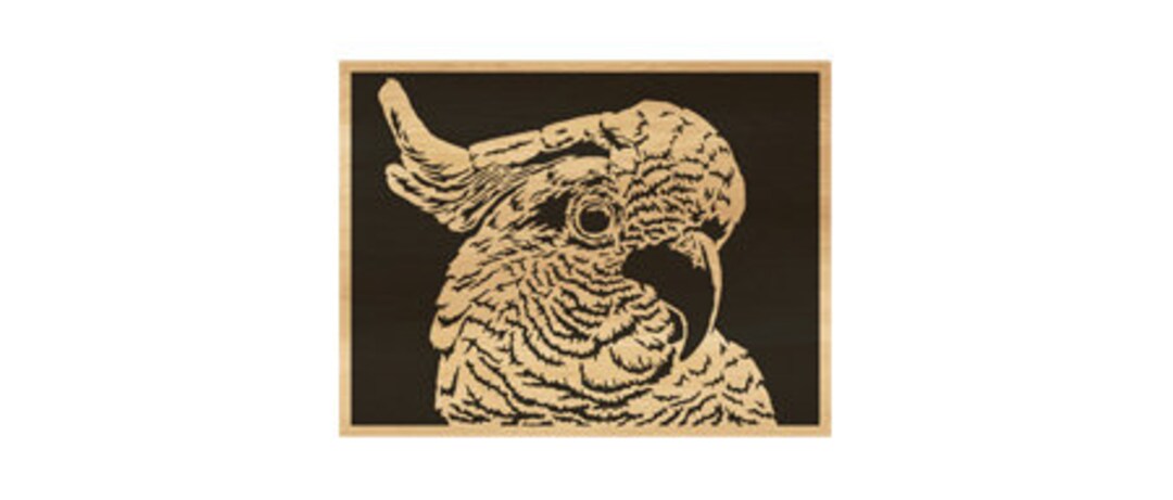 096-parrot Scroll Saw Pattern pdf, Jpg, Dxf, Svg, Eps - Etsy