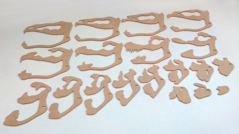 C58-dino Skull Scroll Saw Pattern pdf Dxf Svg Eps | Etsy