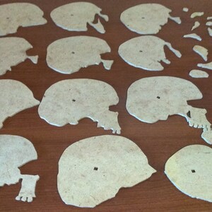 C08-skull - Scroll Saw Pattern (pdf, Dxf, Svg, Eps) - Etsy Canada