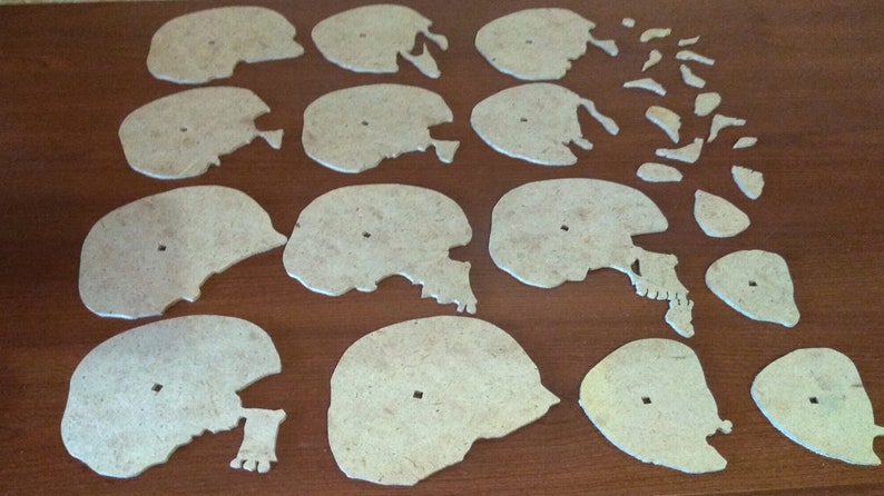 C08-skull - Scroll Saw Pattern (pdf, Dxf, Svg, Eps) - Etsy
