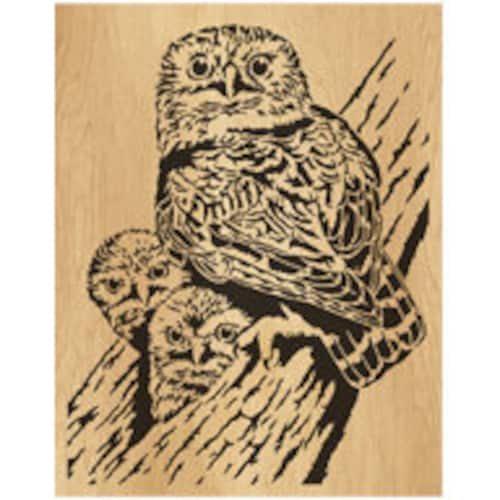 066-owl Scroll Saw Pattern pdf Jpg Dxf Svg Eps - Etsy