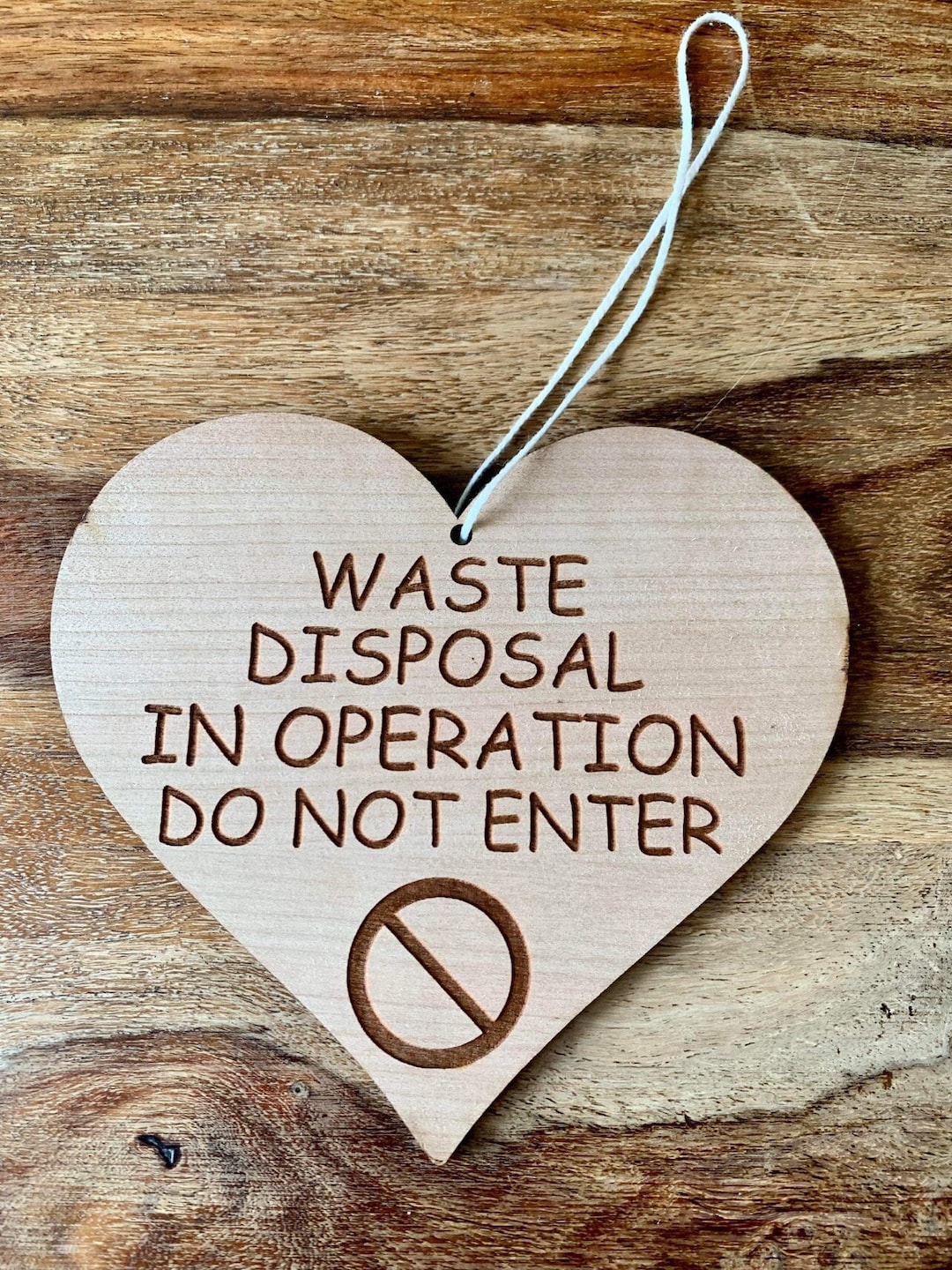 Bathroom Sign do Not Disturb Sign Toilet in Use Bathroom Decor Door ...