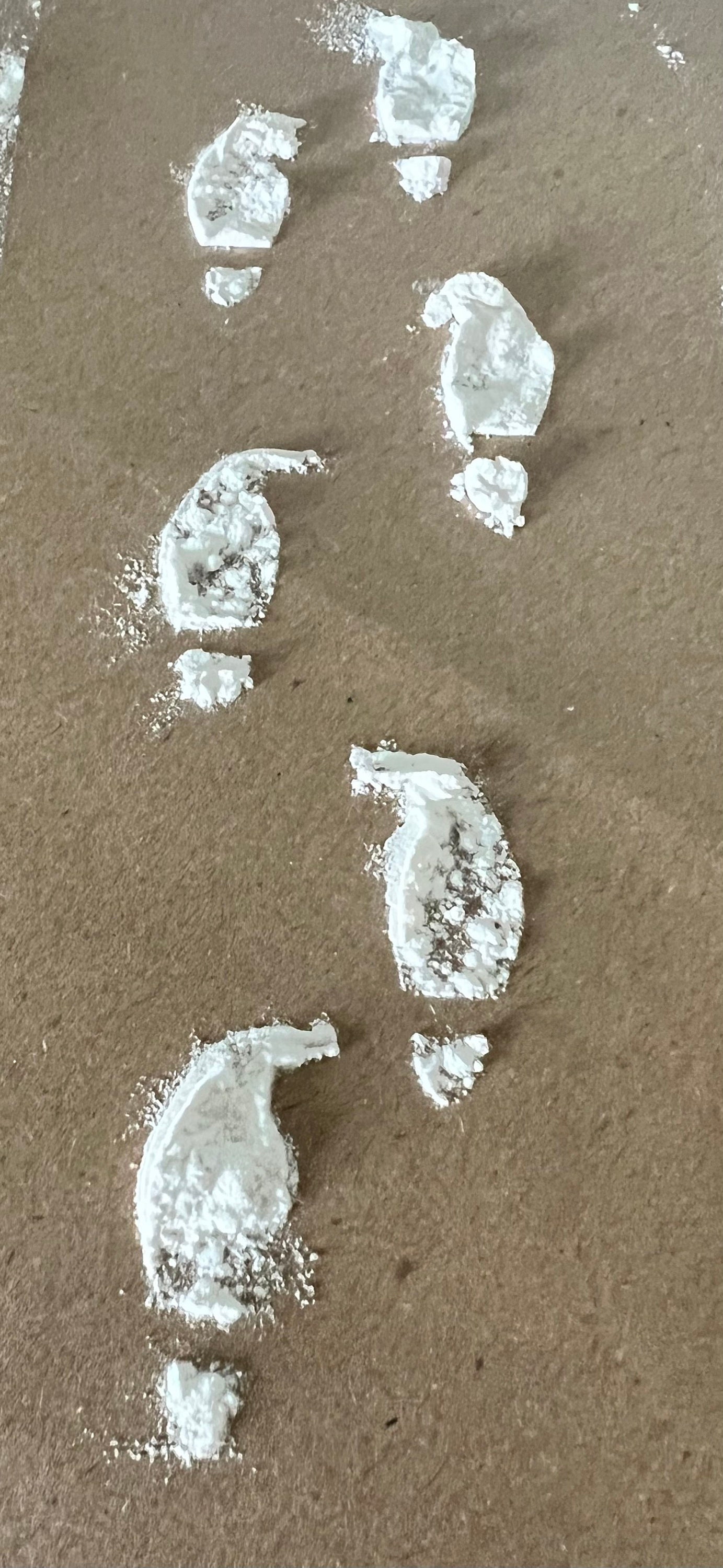 Santa Boots Reindeer Feet Elf Feet Footprints Christmas Eve - Etsy UK