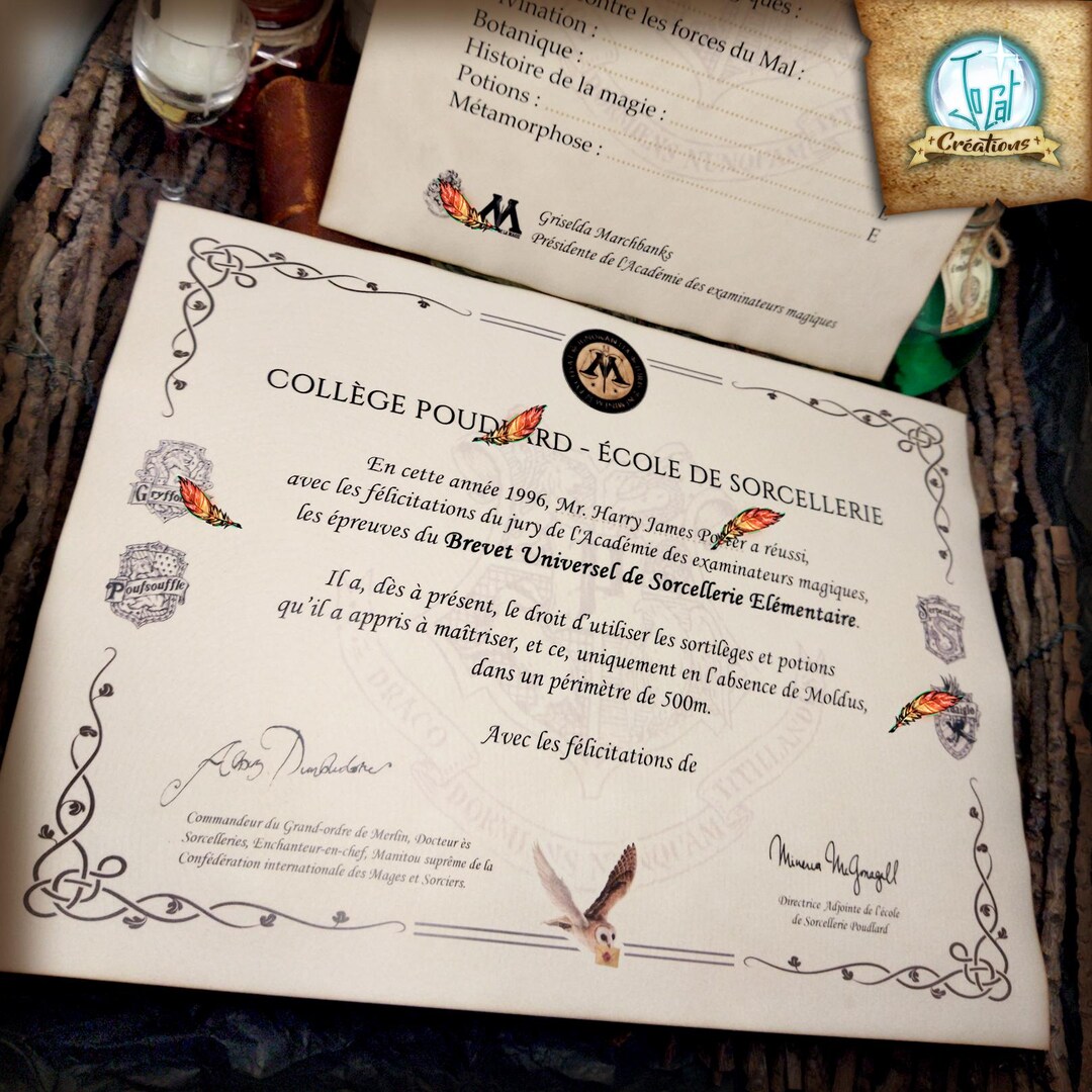 Personalized BUSE, Diploma and Grades - Etsy