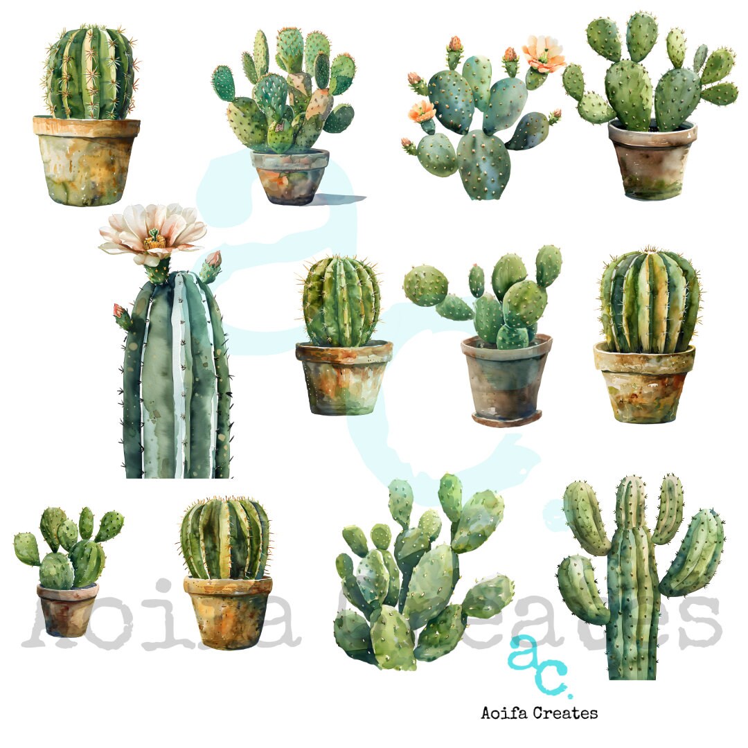 Watercolor Cactus Clipart Bundle Commercial Use Included, Cactus ...