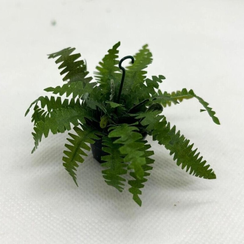 Miniature Fern - Etsy