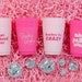 LGBTQ Bachelorette Party Cups 12 Pack, 16 Oz Reusable Frost Flex ...