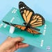 Realistic Insect Anatomy Crafts - Etsy