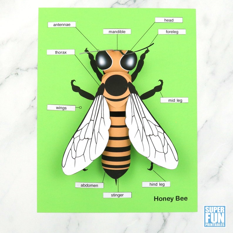 3D Paper Bee - Etsy