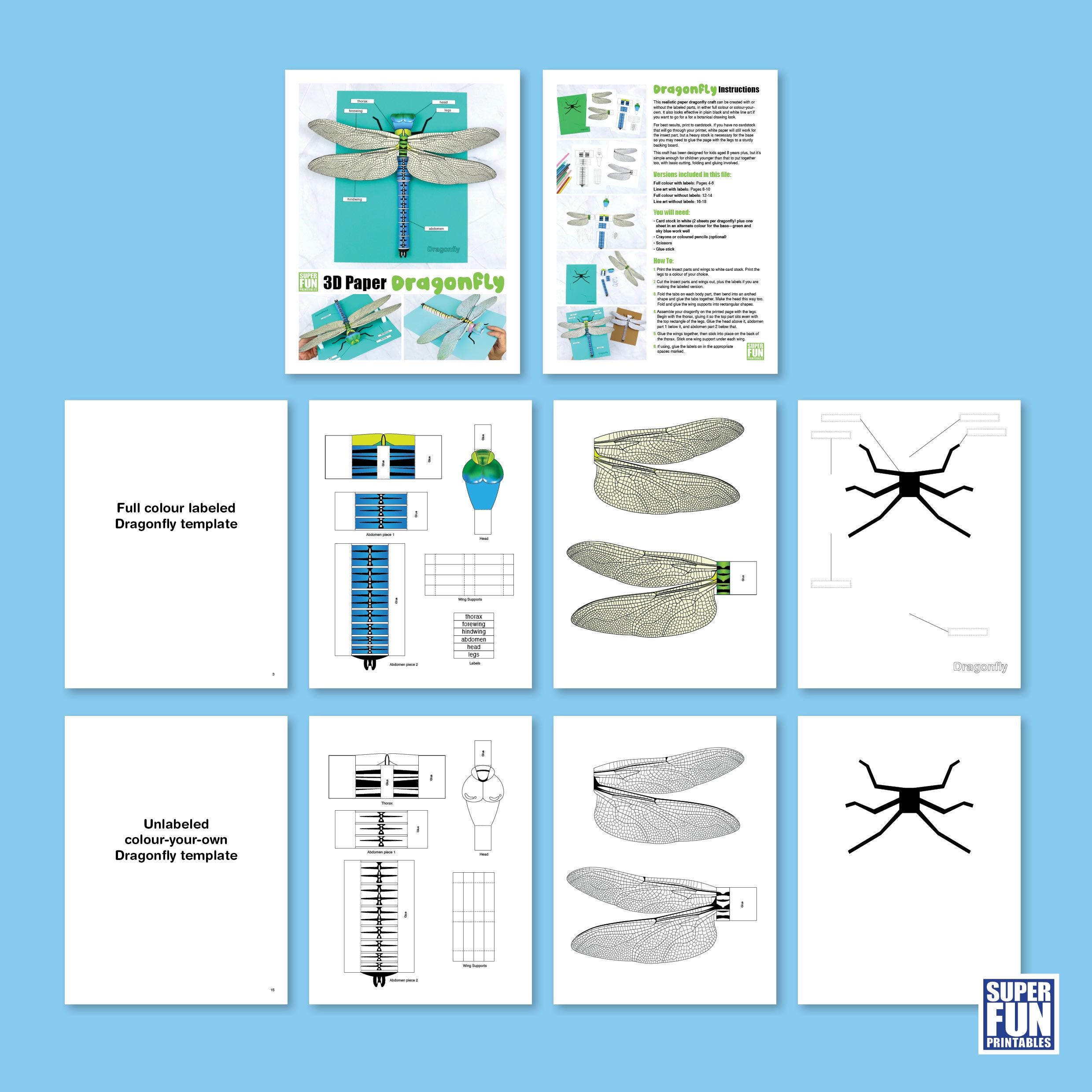 Realistic Insect Anatomy Crafts - Etsy