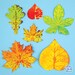 Leaf Squish Art Printing - Etsy