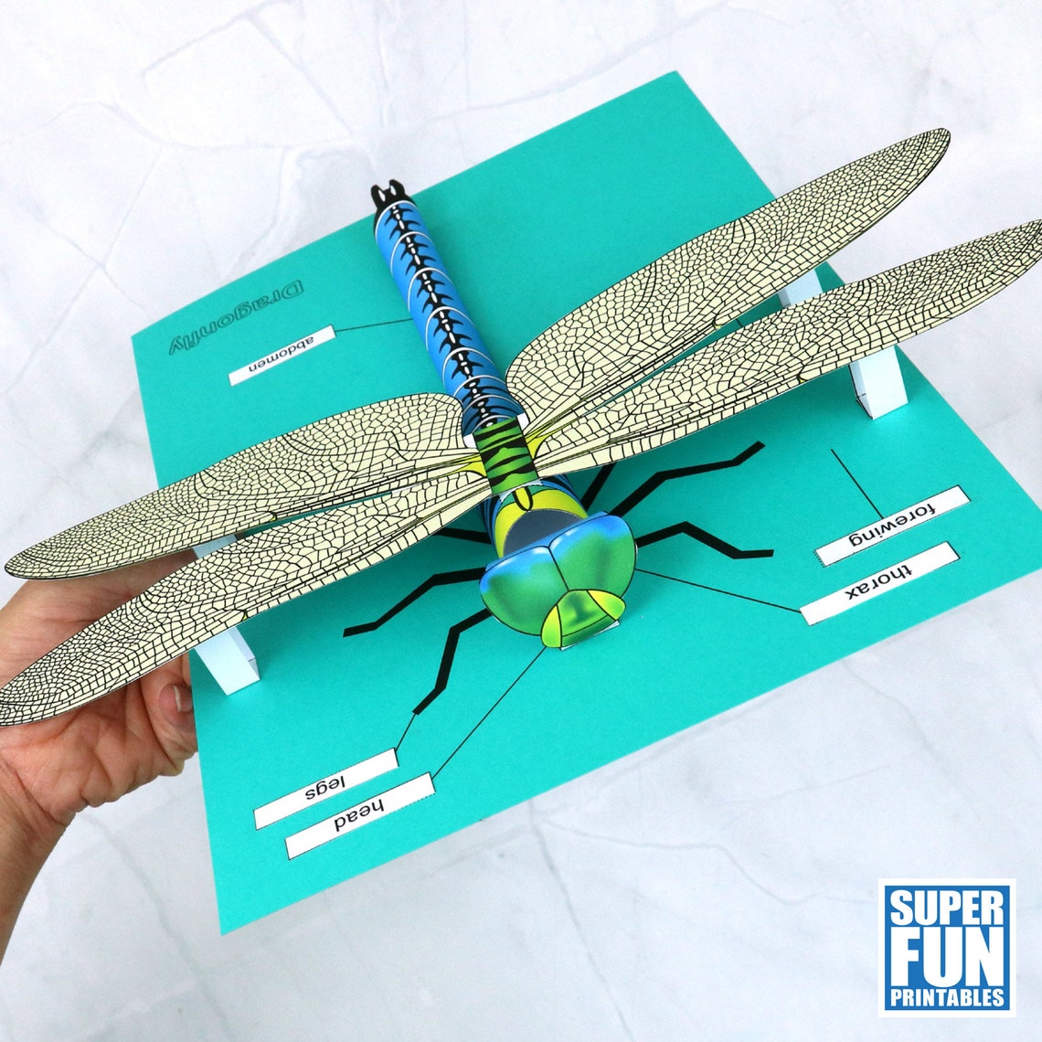 3D Dragonfly Paper Craft - Etsy