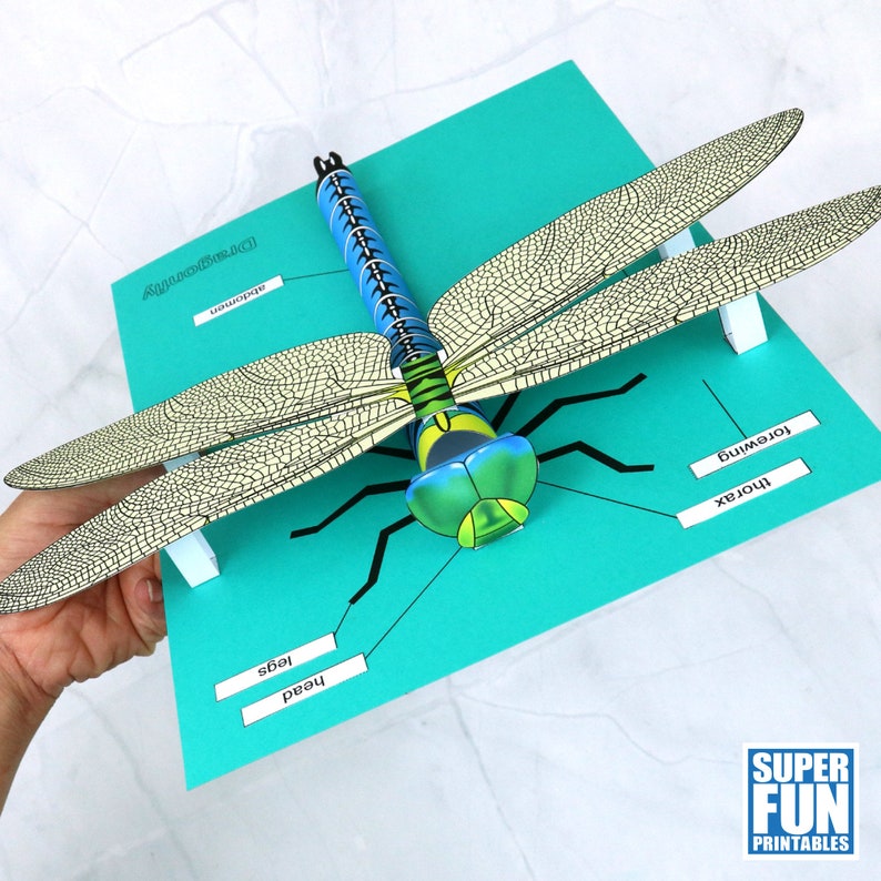 3D Dragonfly Paper Craft - Etsy