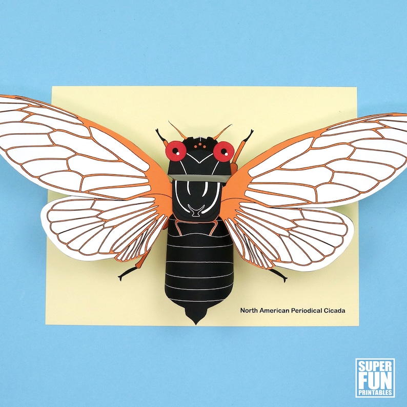 3D Paper Cicada - Etsy