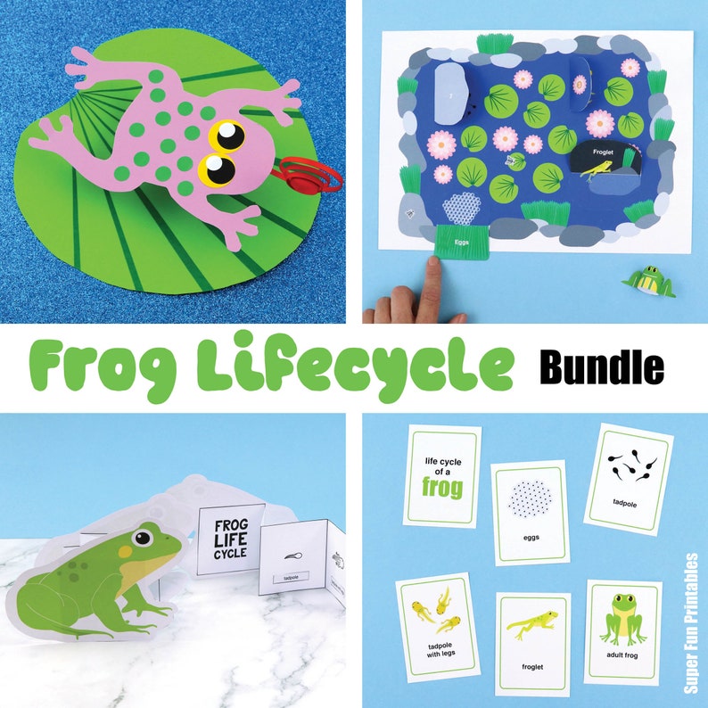 Frog Lifecycle Crafts - Etsy