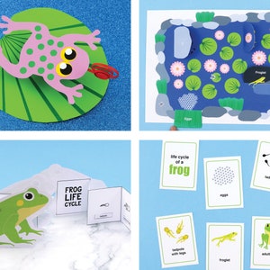 Frog Lifecycle Crafts - Etsy