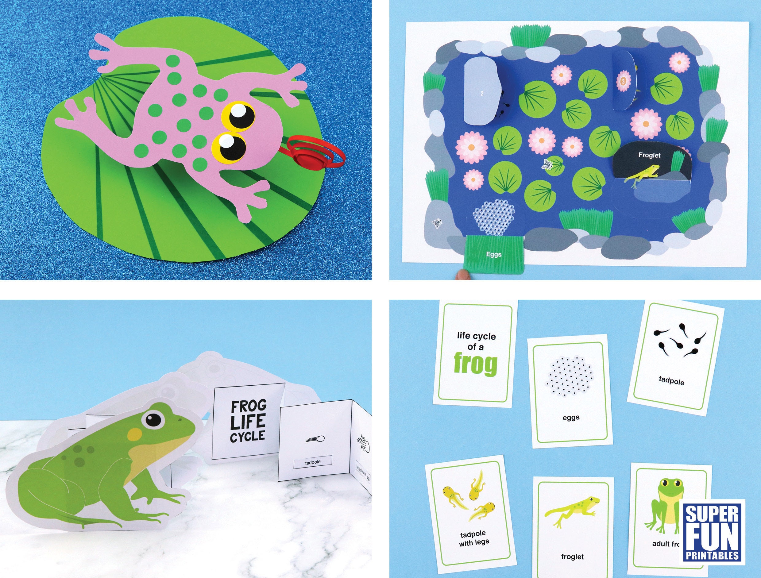 Frog Lifecycle Crafts - Etsy