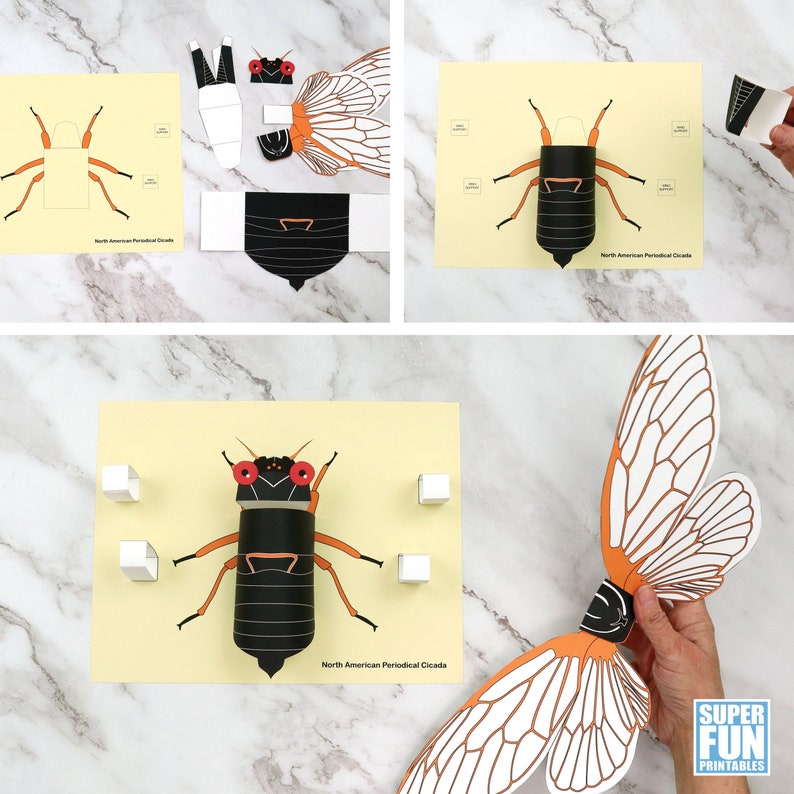3D Paper Cicada - Etsy