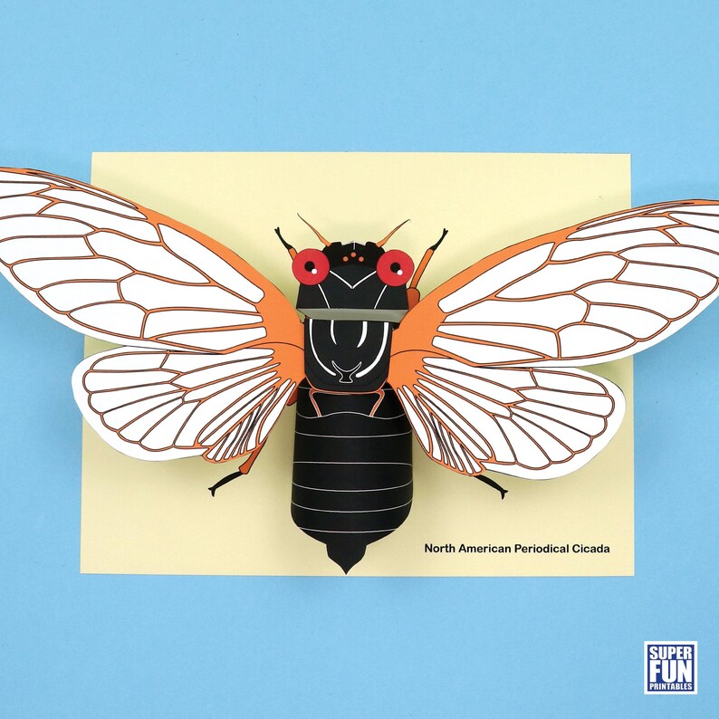 Realistic Insect Anatomy Crafts - Etsy