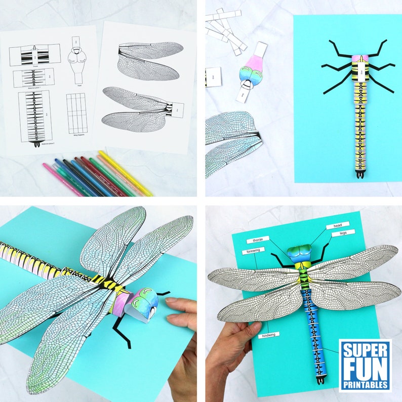 3D Dragonfly Paper Craft - Etsy
