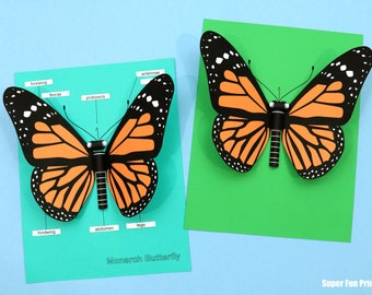 3D Paper Bee Craft With Anatomy Labels - Etsy