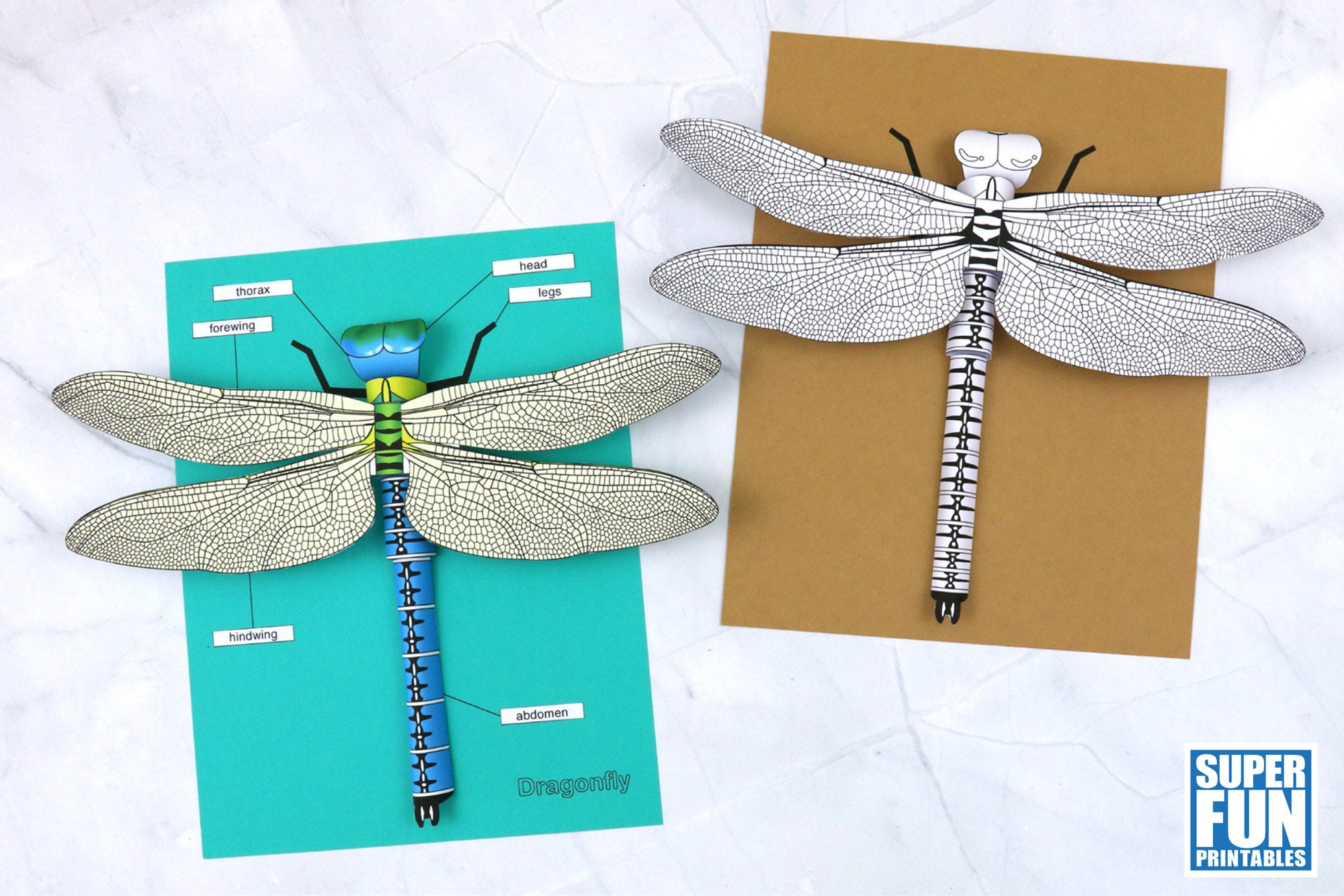 3D Dragonfly Paper Craft - Etsy