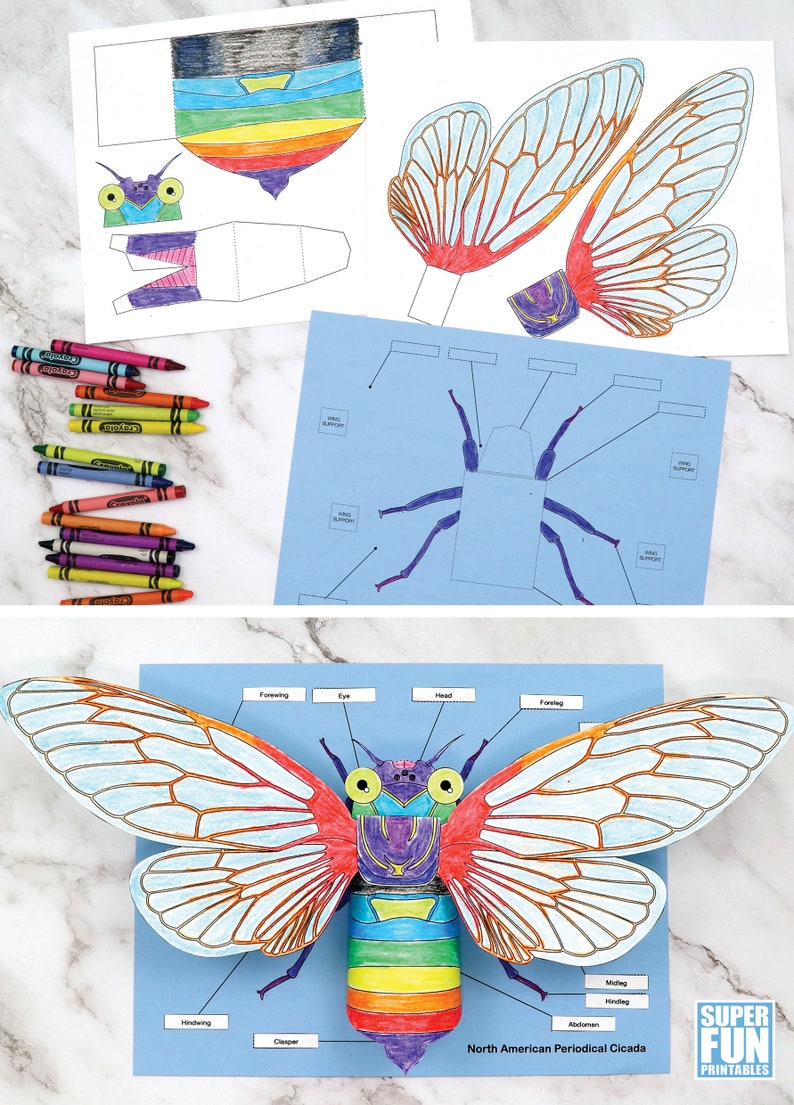 3D Paper Cicada - Etsy