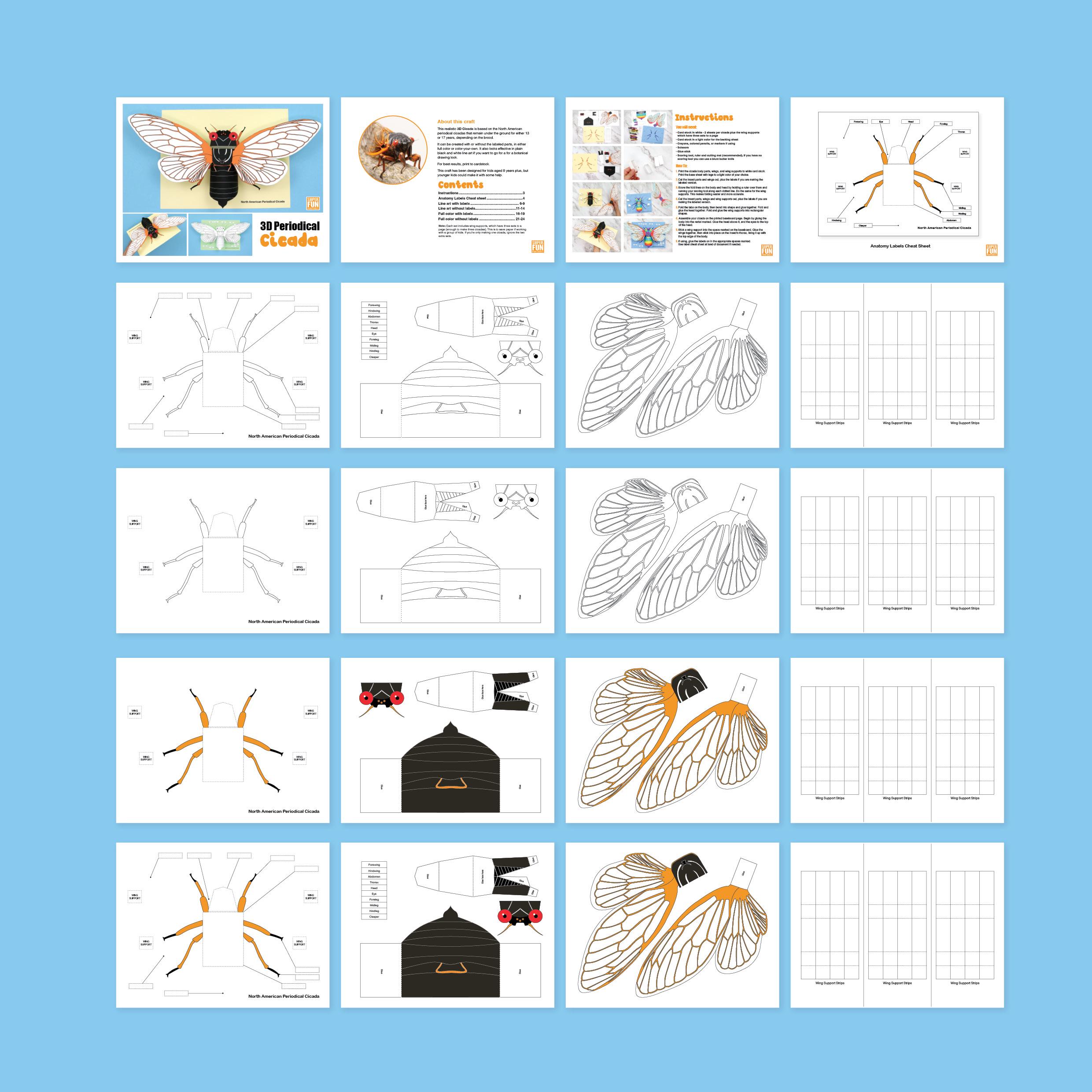Realistic Insect Anatomy Crafts - Etsy