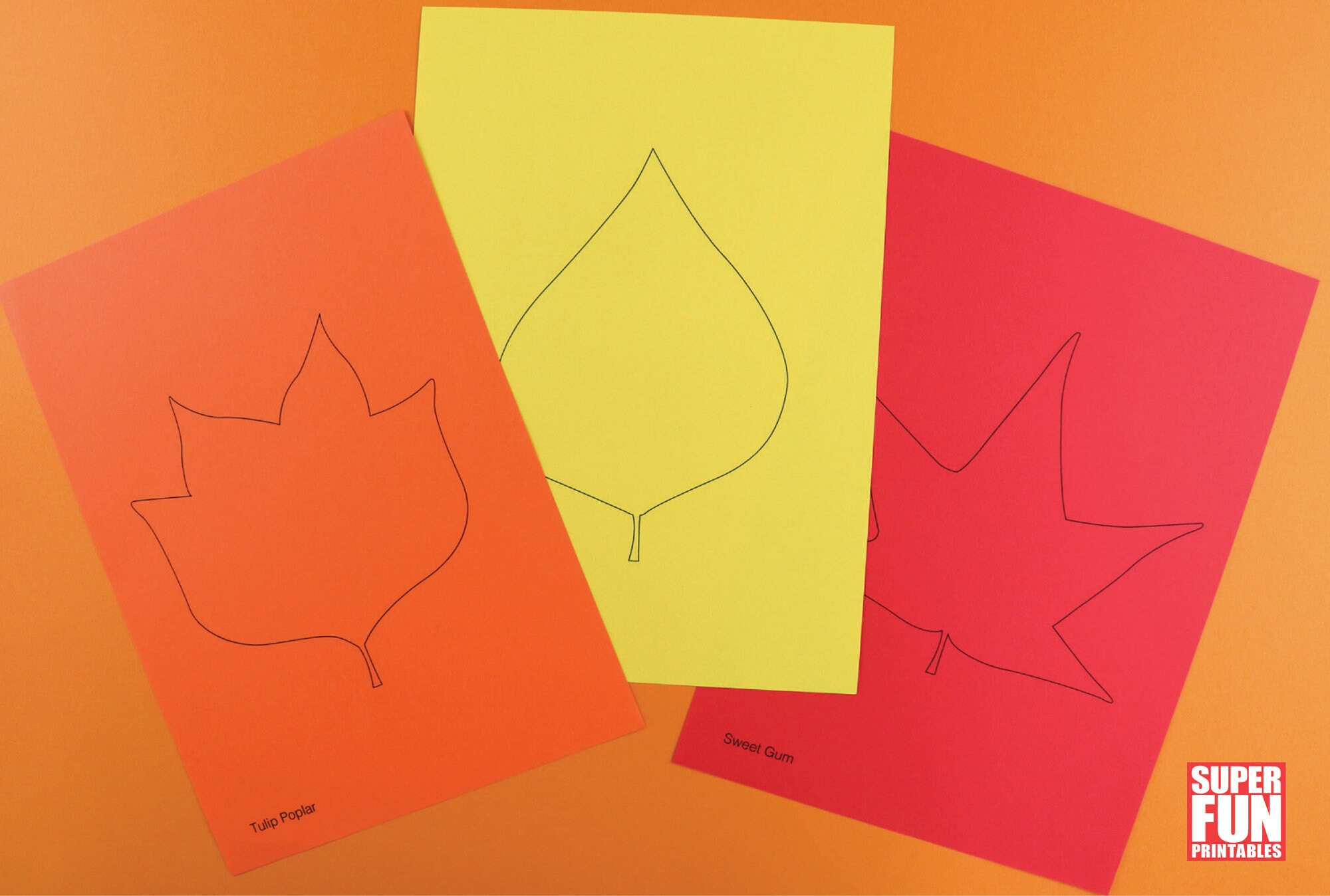 Fall Paper Leaf Templates - Etsy