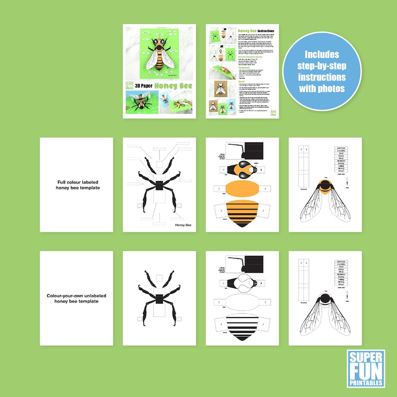 3D Paper Bee Craft With Anatomy Labels - Etsy