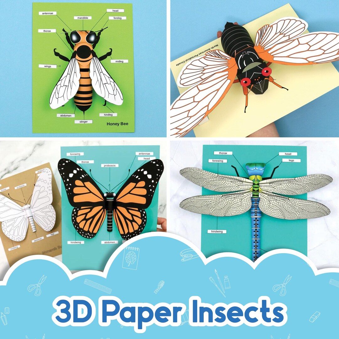 Realistic Insect Anatomy Crafts - Etsy