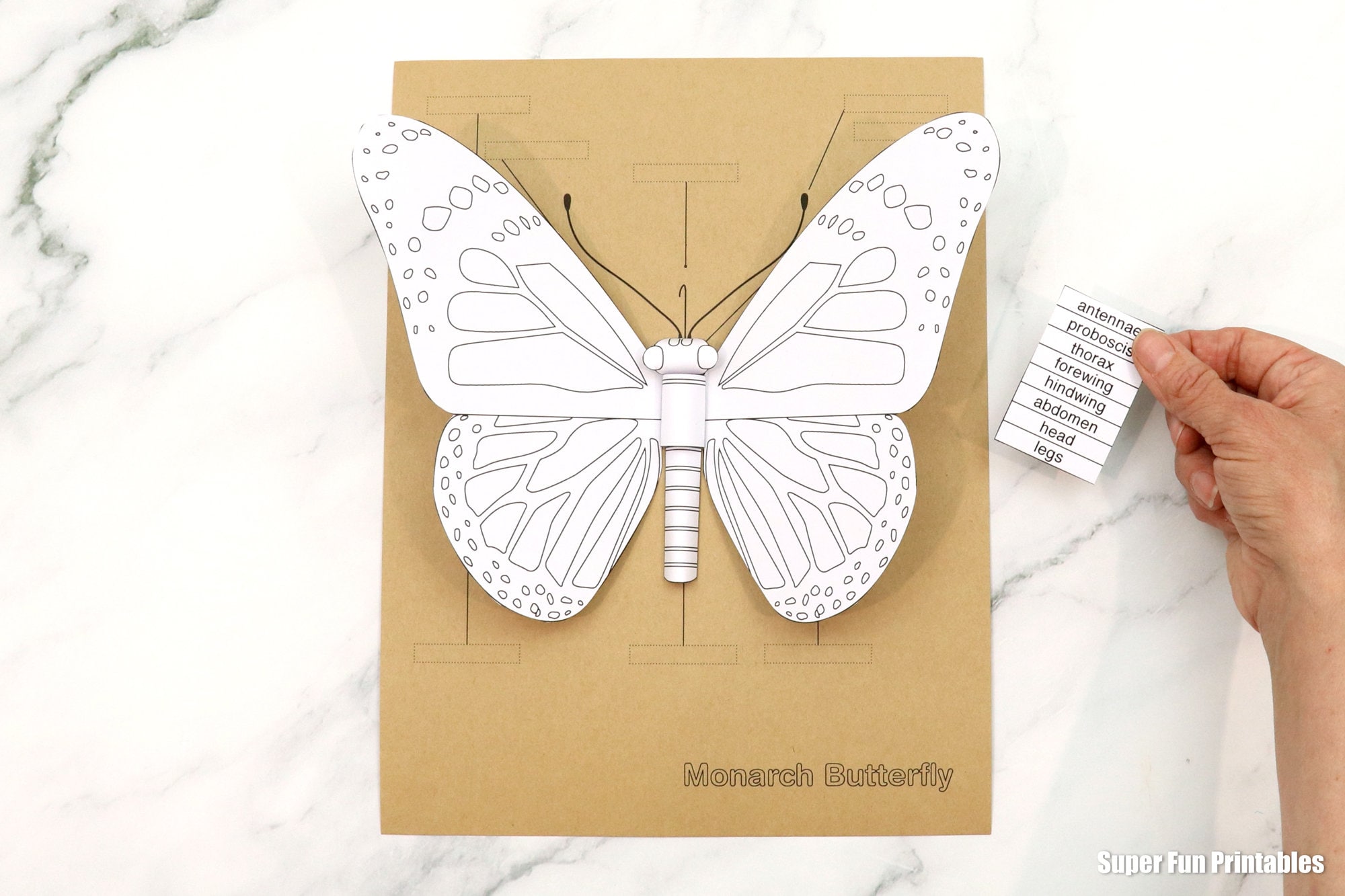 3D Monarch Butterfly Paper Craft - Etsy
