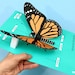 3D Monarch Butterfly Paper Craft - Etsy