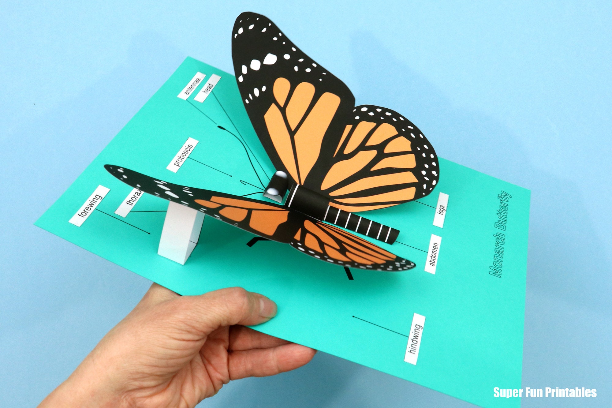 3D Monarch Butterfly Paper Craft - Etsy