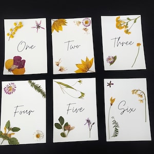 Table Number Cards With Pressed Flowers. Wedding Table Numbers With ...